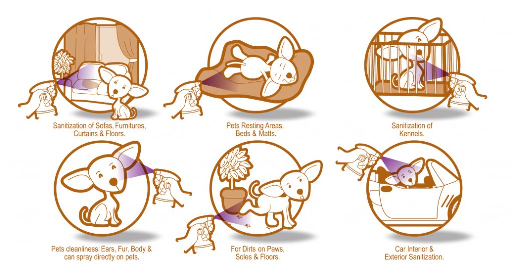 Bioion Pet Pounce Pet Sanitizer | Natural Plant Extract | Bioion World