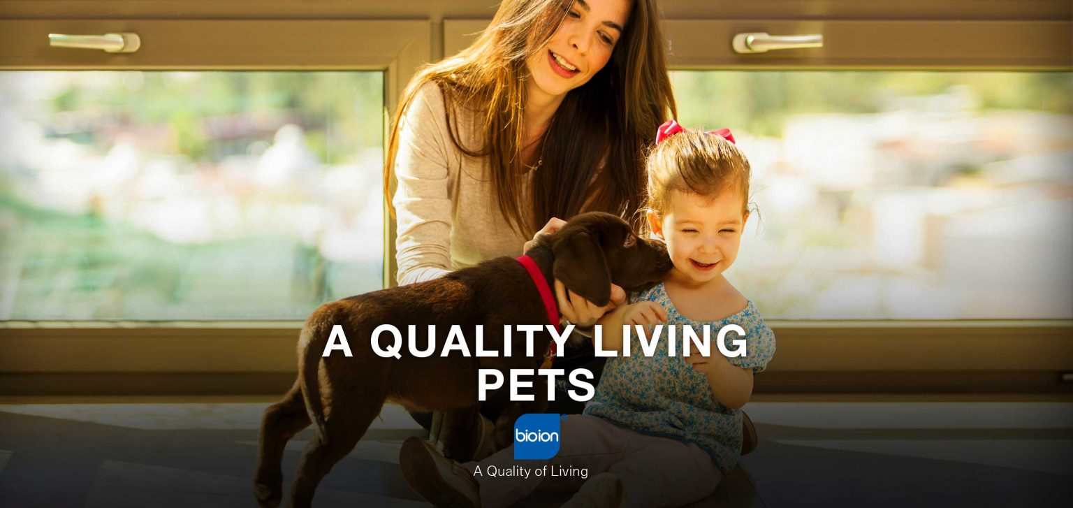 Bioion Pet Pounce Pet Sanitizer | Natural Plant Extract | Bioion World